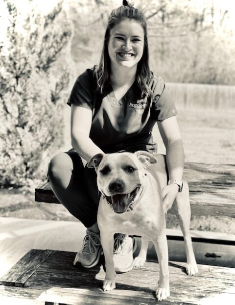Our Team | Magnolia Veterinary Surgery